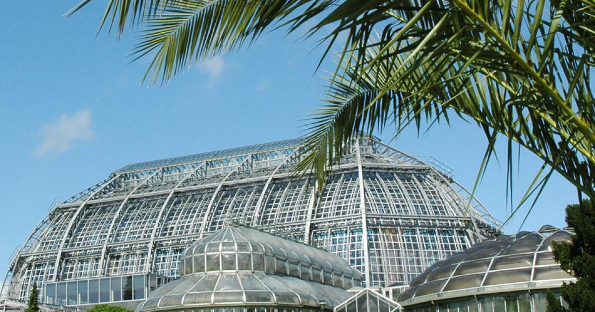 Botanischer Garten (Botanical Garden and Museum) | Berlin WelcomeCard